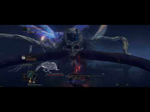 Elden Ring - Astel, Naturalborn of the Void Boss Gameplay 4K ULTRAWIDE ...