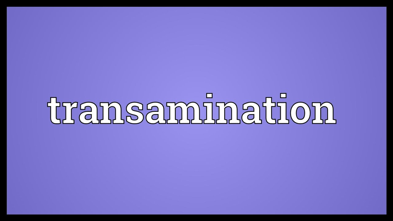 Transamination Meaning - YouTube