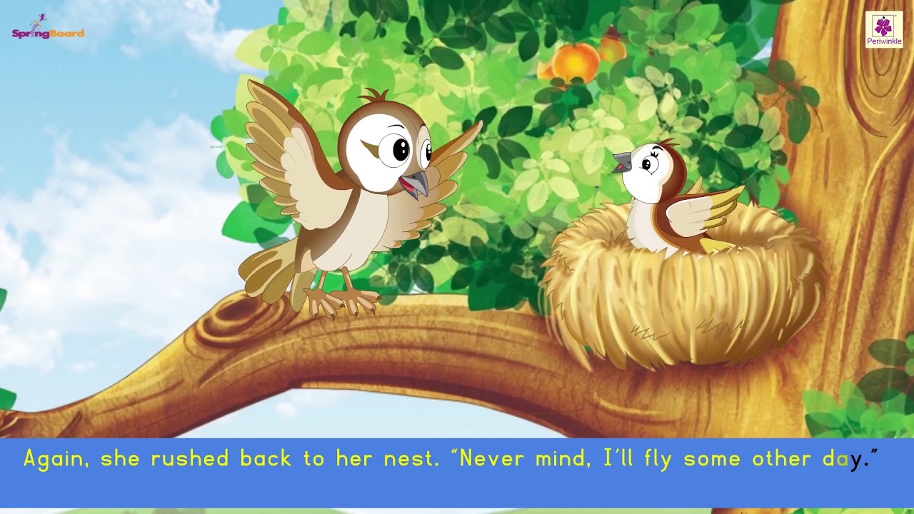 Kimi Learns To Fly | Animated English Stories | SpringBoard Nursery ...