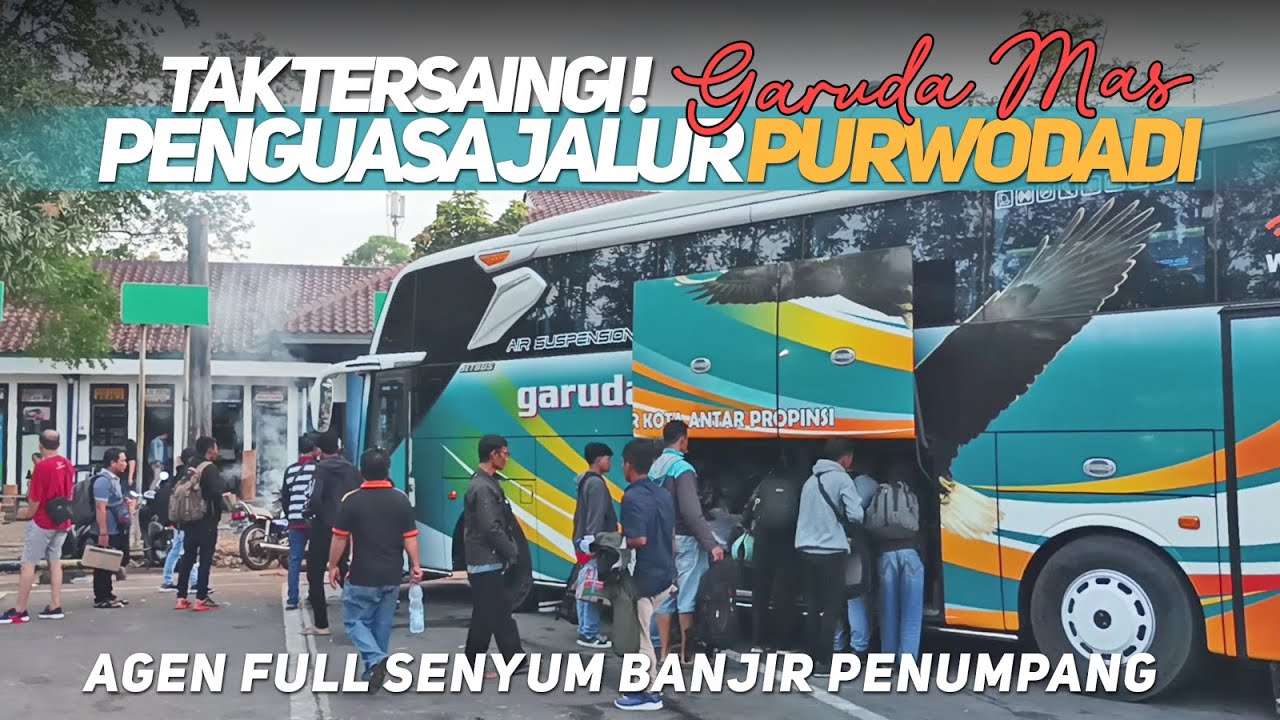 PALING MURAH DI JALURNYA..!! PENGUASA JALUR PURWODADI ! PO.GARUDA MAS ...