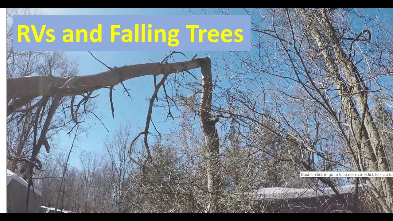RVs and Falling Trees | Spring Finally Arrives in Michigan | Full Time ...