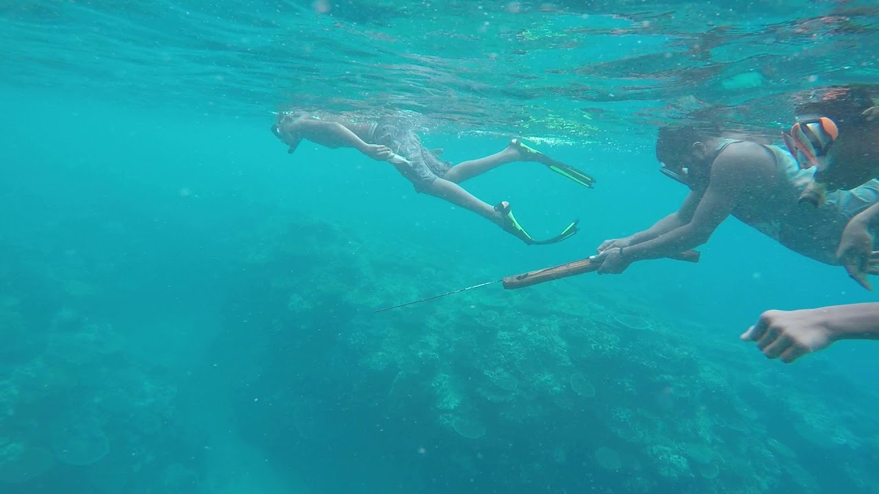 Hunting cuttlefish on Emae Island, Vanuatu - YouTube