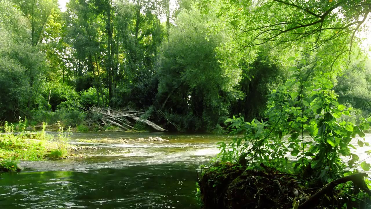 Gentle River Sounds 3 Hours Long Nature Video - YouTube