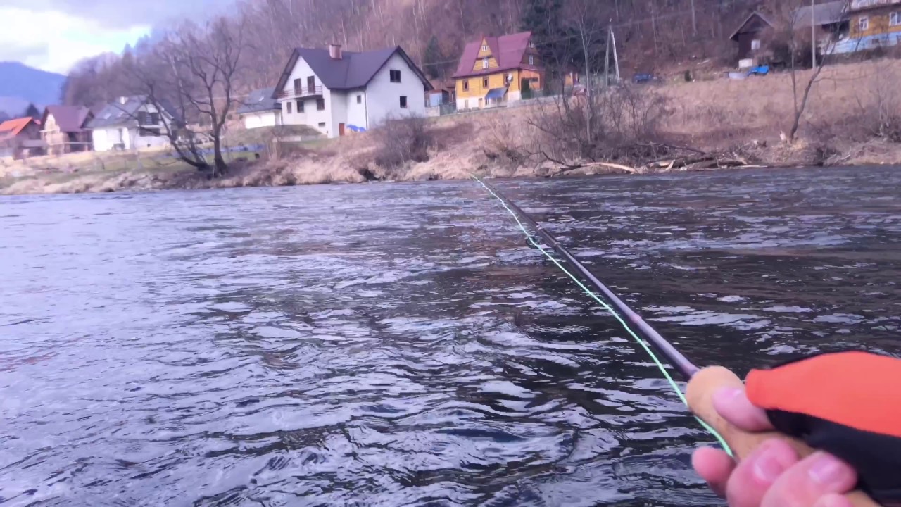 Fly fishing in Poland river Dunajec - YouTube