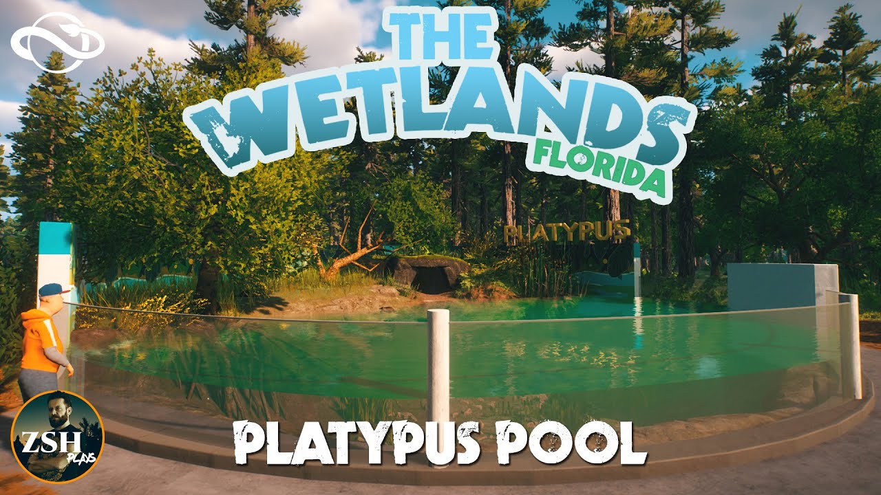 The Wetlands - Platypus Pool! ¦ Planet Zoo Wetlands Animal Pack - YouTube