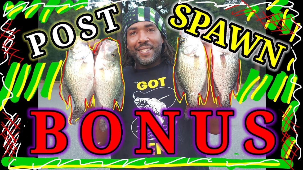 CRAPPIE FISHING POST SPAWN TIPS, FIND CRAPPIE FAST EASIEST WAY - YouTube