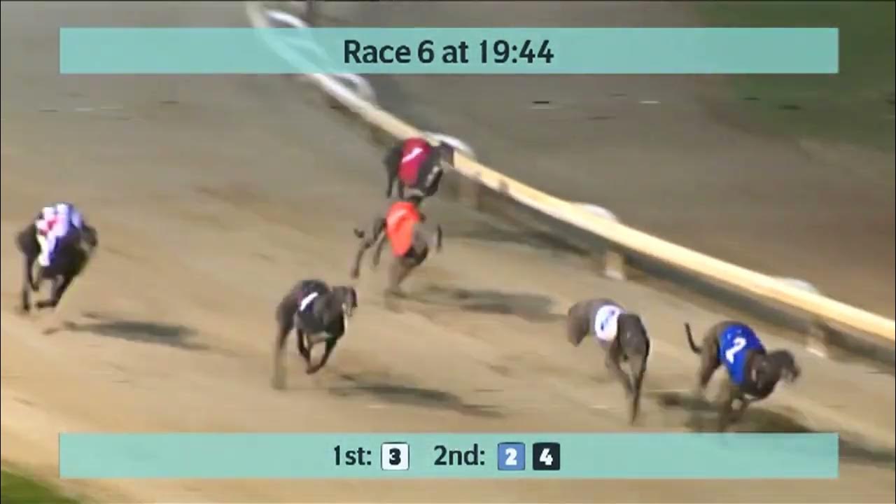 Monmore Greyhounds Races on 26th January 2023 - YouTube Monmore Greyhounds Races on 26th January 2023 - YouTube