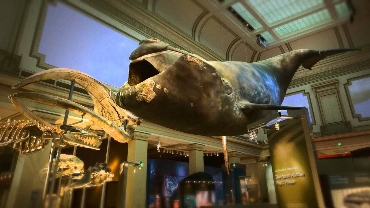 National Arts Awards 2014: Vicki and Roger Sant - YouTube