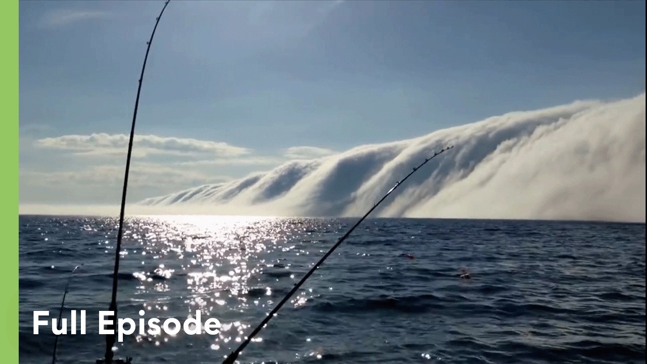 Fish Falling From the Sky? The Strangest Weather Phenomena | World’s ...