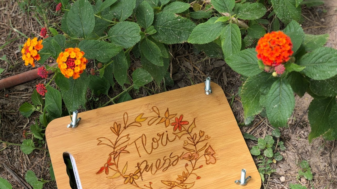 🌻HICE UNA PRENSA DE FLORES! PARA MIS MANUALIDADES 🌸🌼🌻🌷para secar y ...