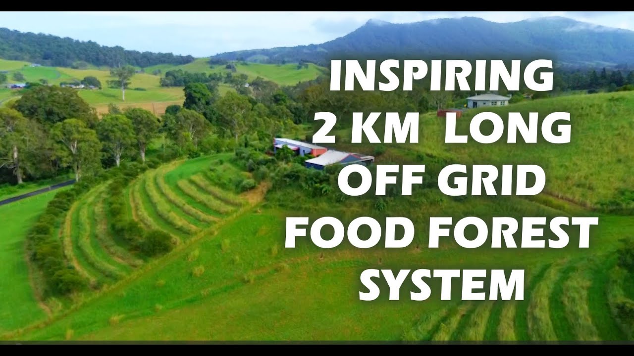Food Forest - Tour an inspiring 2-kilometre-long food forest system ...