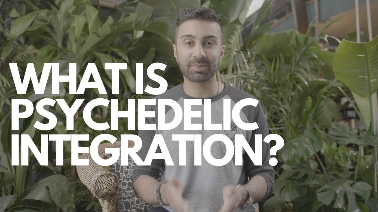What is psychedelic integration? How to integrate a psychedelic ...