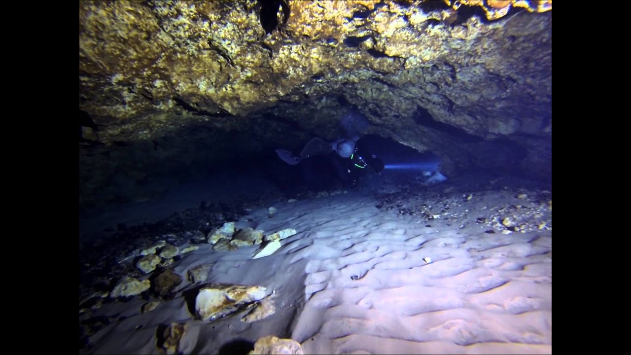 Cave dykning i Blue Spring, Madison Spring State Park Florida oktober ...