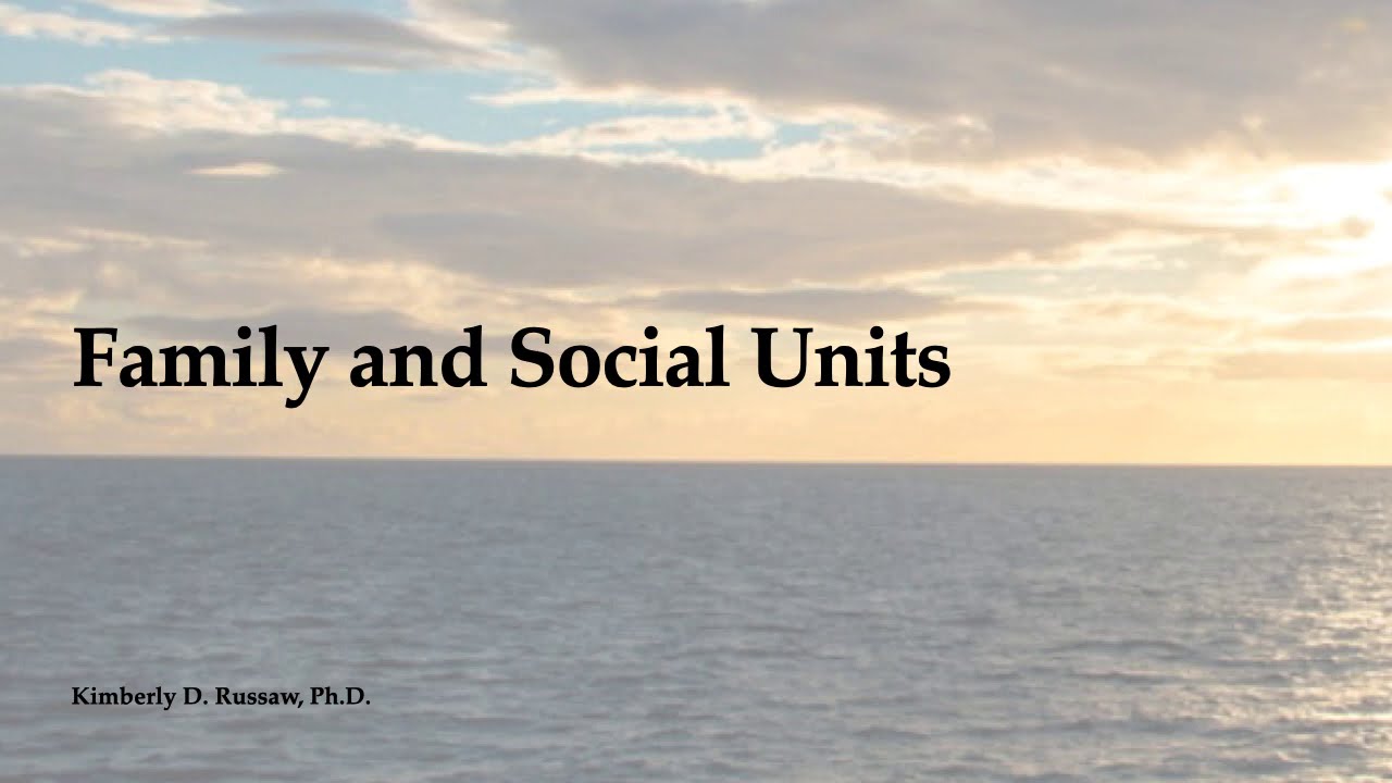 Family and Social Social Units - YouTube
