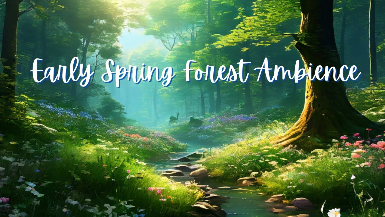 Relaxing Spring Ambience - Early Spring Forest Ambience - Spring Nature ...