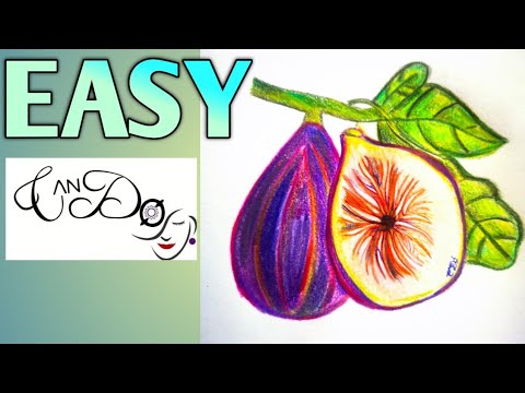 How To Draw A Fig Fruit Step By Step For Beginners| Easy Fig Fruit ...