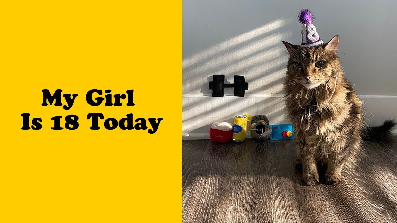 50 Uplifting Animal Pictures To Help You Get Through The Week 2 2 ...