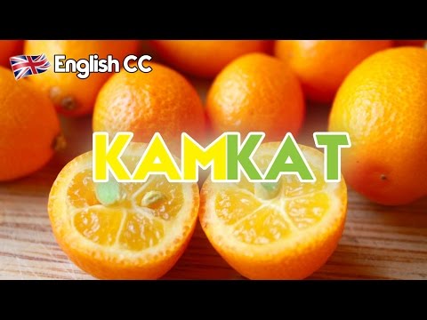 Kamkat (Kumquat) - (English CC)