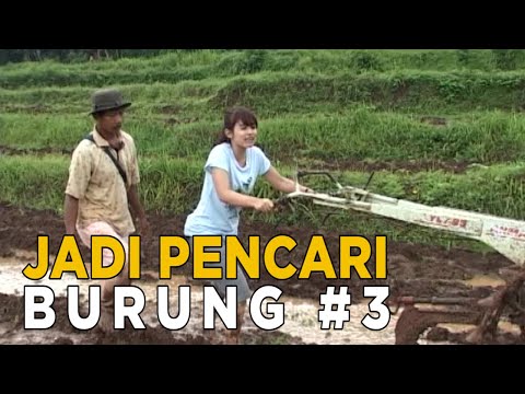 Disini harus belajar mandiri kerjain apa-apa sendiri | JIKA AKU MENJADI