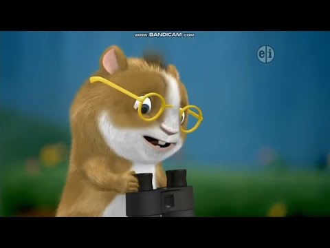 PBS Kids Spot: Hooper - Binoculars - YouTube
