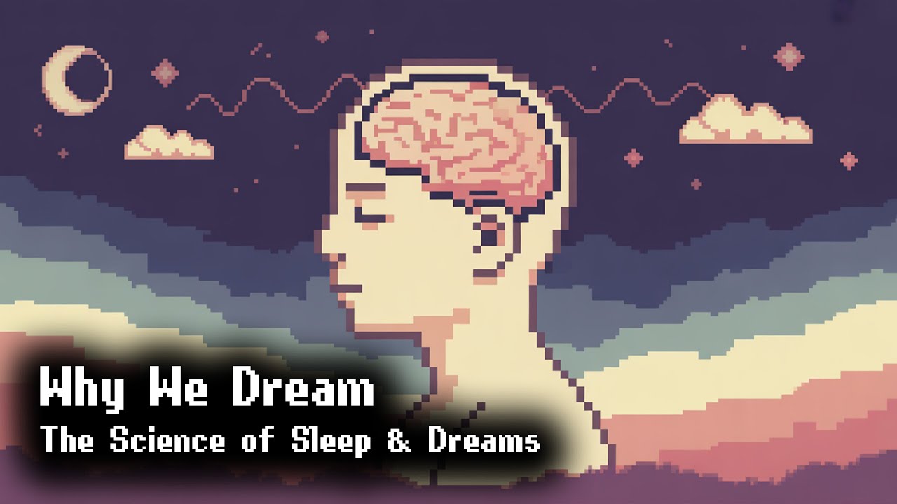 Sleep and the Science of Dreams | Documentary for Sleep - YouTube