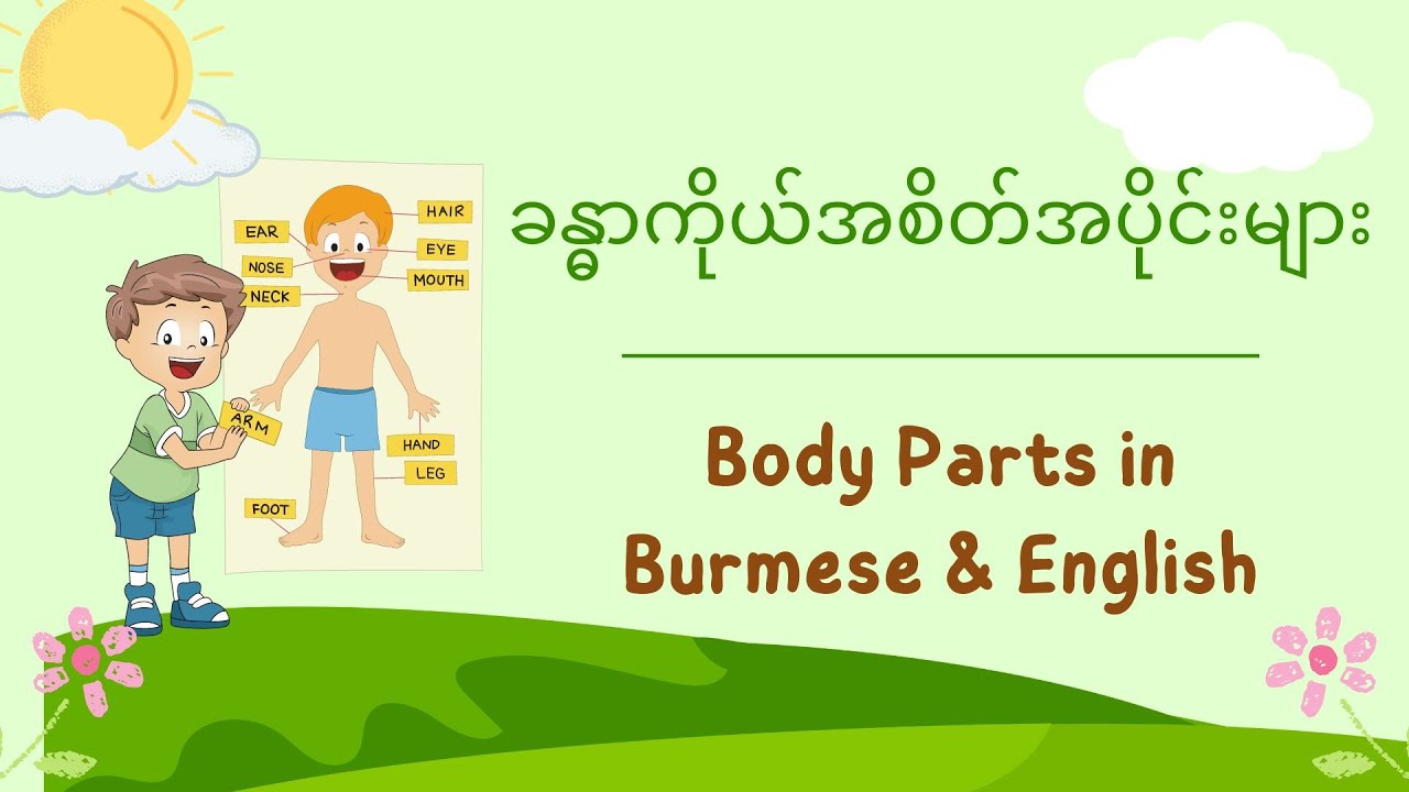 ခန္ဓာကိုယ်အစိတ်အပိုင်းများ - Body Parts in Burmese & English - YouTube