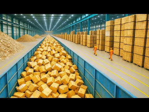 WIE wird KARTON hergestellt 📦 | SO werden MILLIONEN Kartons produziert