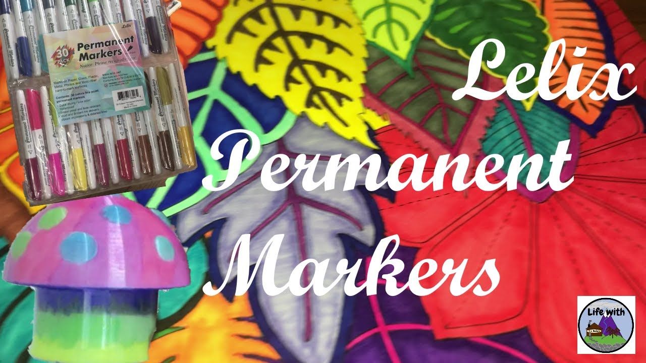Lelix 30 Colors Permanent Markers Unboxing with the Beckers - YouTube