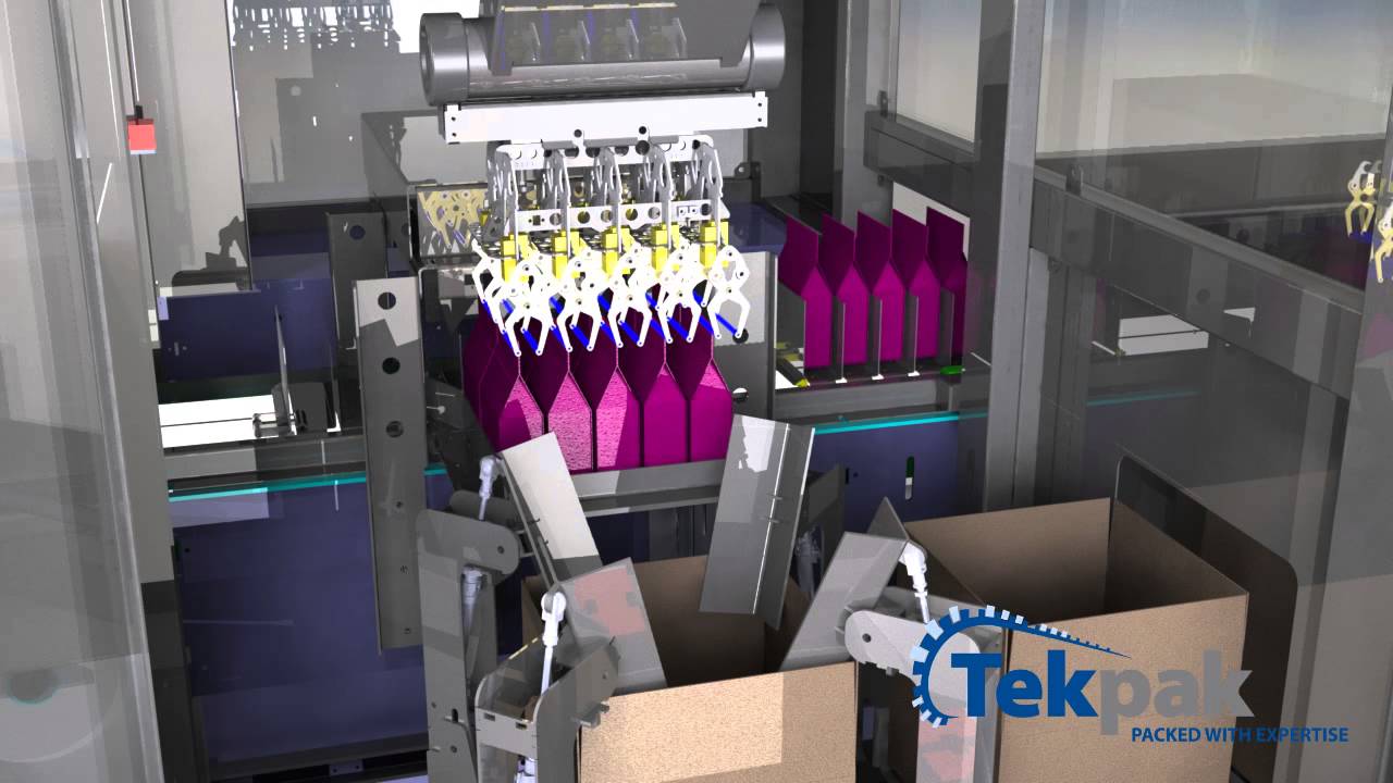Tekpak Case Packing System for Doy Bags, Quad Bags and Pouches - YouTube