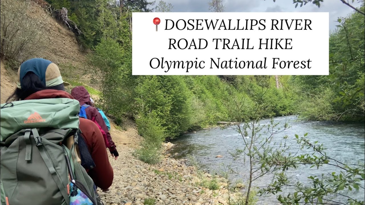 DOSEWALLIPS RIVER ROAD TRAIL HIKE (Olympic National Forest) - YouTube