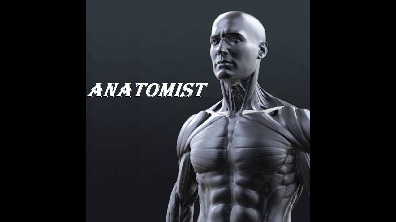 neurulation, neural crest, folding - YouTube