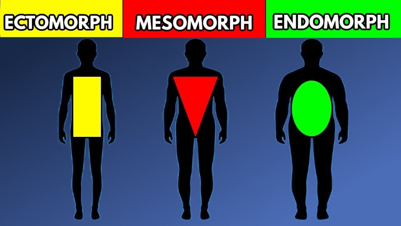 This Is How To Exercise According to Your Body Type - YouTube