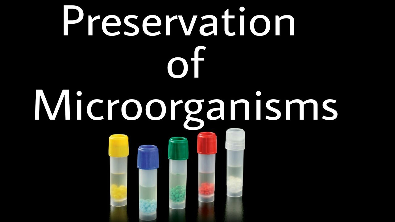 Preservation of microorganisms Part 2 - YouTube