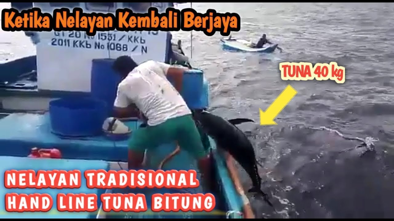 Ketika Nelayan Kembali Berjaya - Nelayan Hand Line Tuna Bitung - YouTube