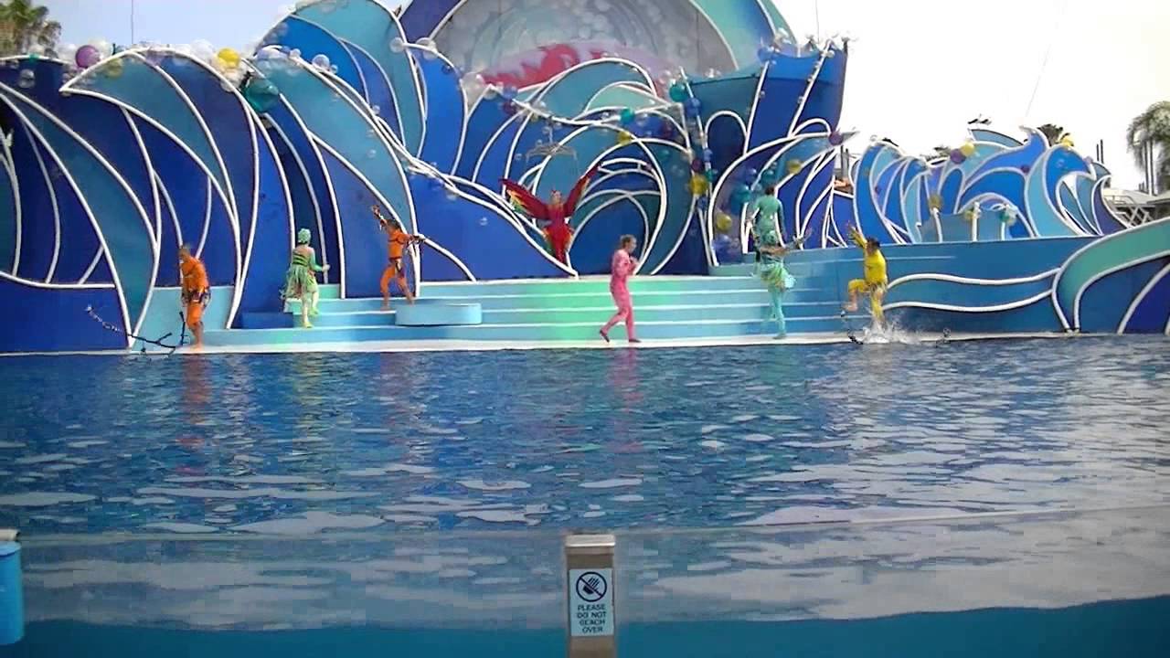 SeaWorld Blue horizons Dolphin show with a splash - YouTube