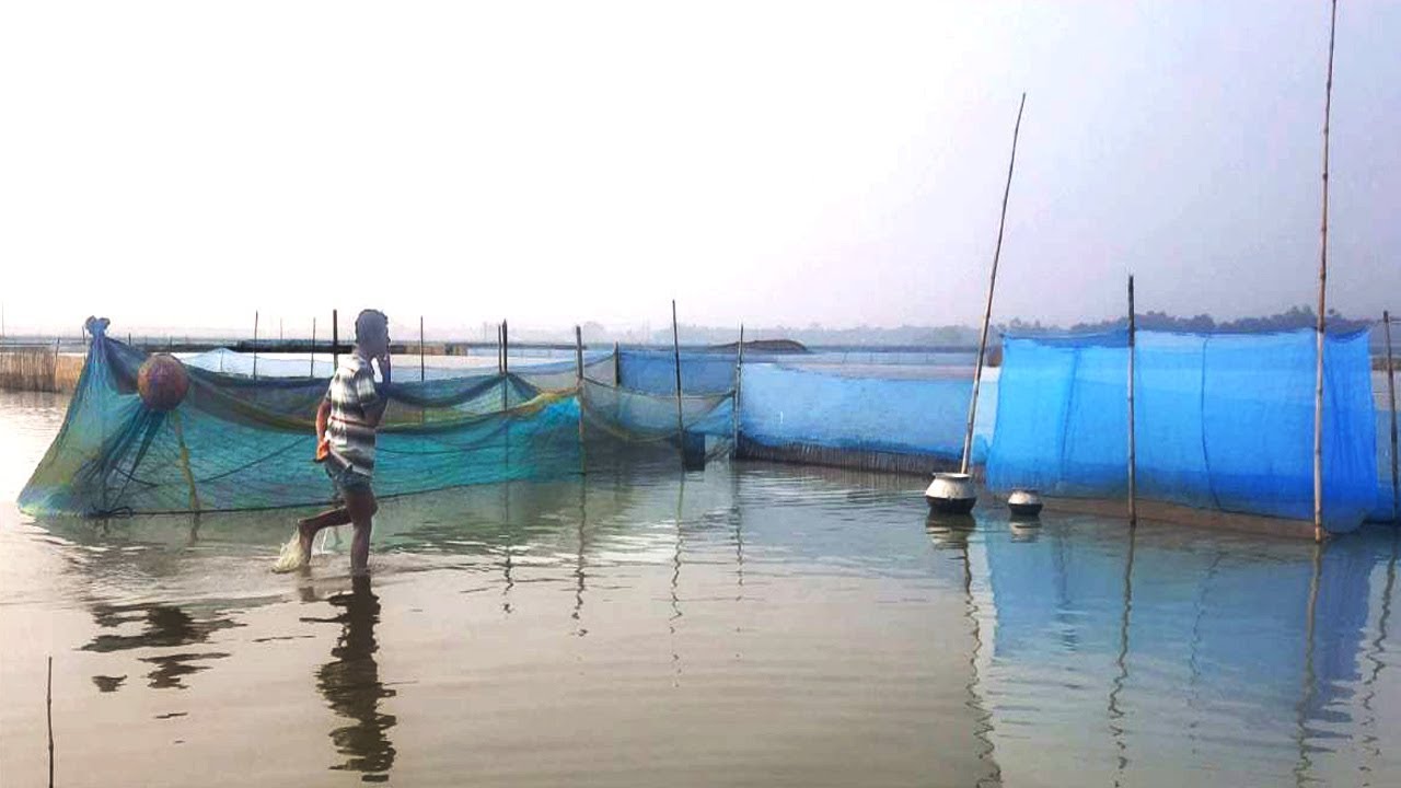 Best Fishing Video _ New Technique Fish Catching With Net - YouTube