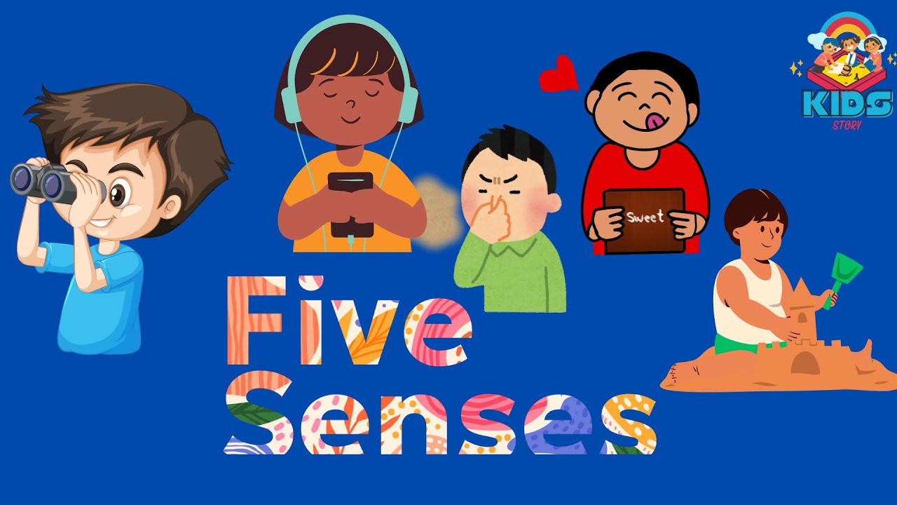 Let’s Learn the 5 Senses! | Fun Sounds & Rhyme for Kids | Kidtory I ...