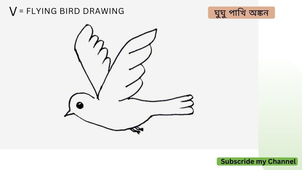 How to draw flying bird from letter V | Dove drawing | drawing tutorial ...