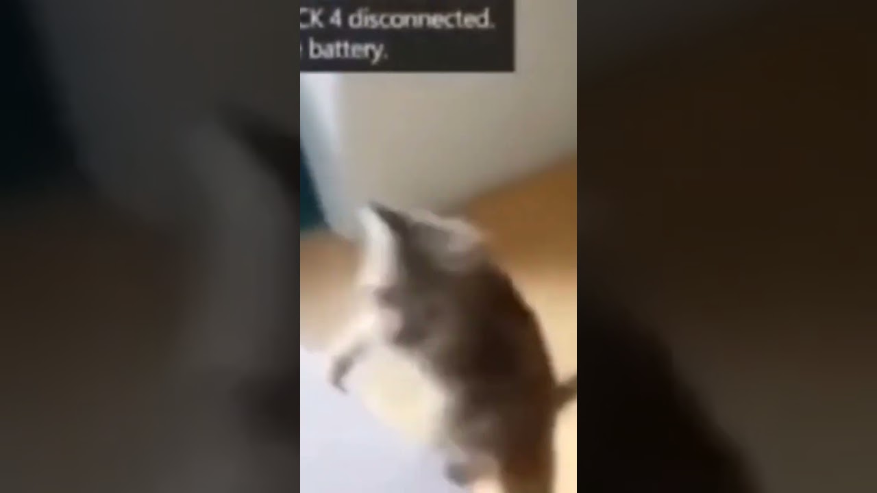 disconnected from the world XD |Samuel Juega - YouTube