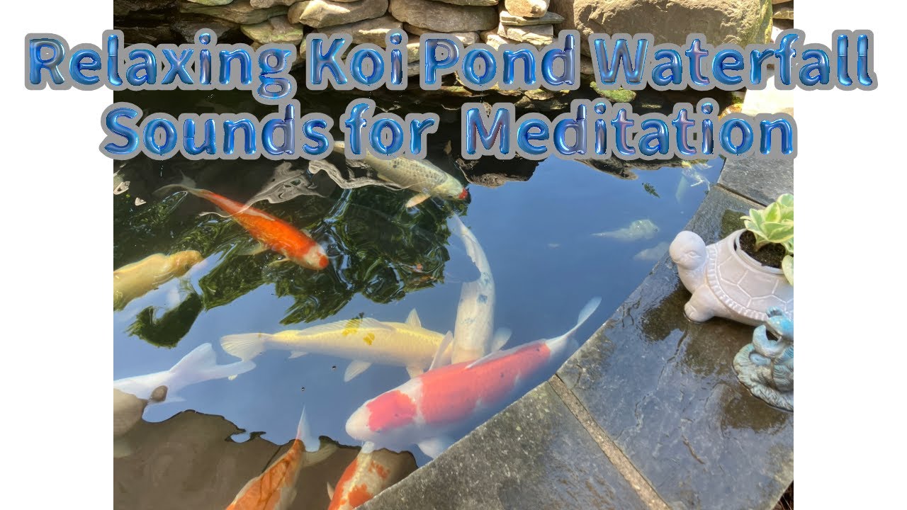 2-Hour Relaxing Koi Pond Waterfall Sounds White Noise for Relaxation ...