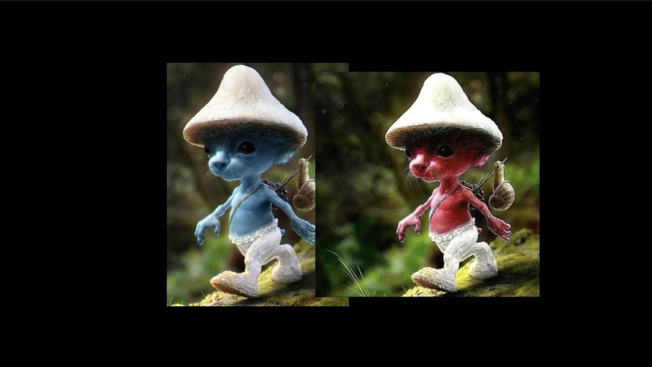 Blue Smurf Cat Found His True Love! ️ #bluesmurfcat #foryou #foryoupage ...