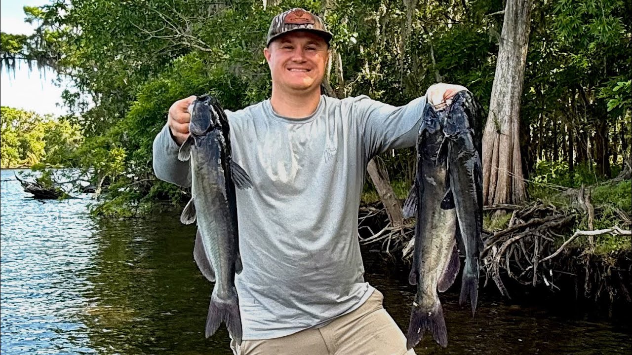 Catfishing: Running limb lines for BIG CATFISH in Central Florida ...
