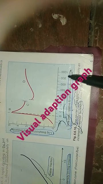 Visibility Adaption Graph⚔️⚔️⚔️🕶️🕶️👁️👁️👁️👁️👁️🖊️👓👓👓👓📝📝📝 Youtube