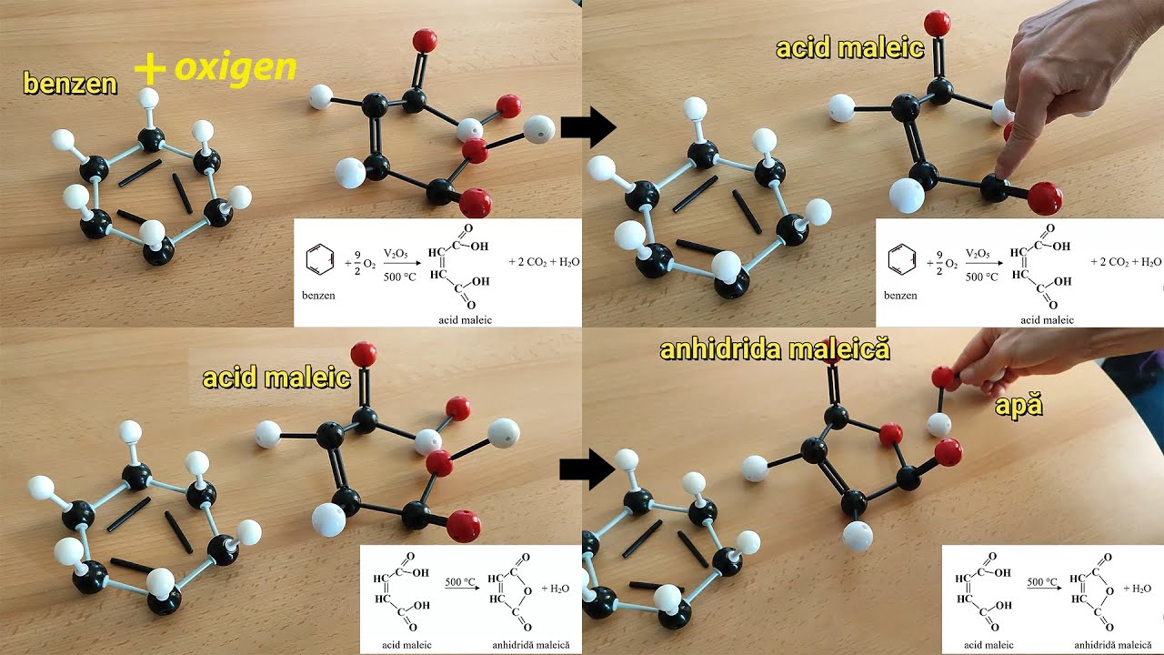 Modelarea reacției de oxidare a benzenului - YouTube