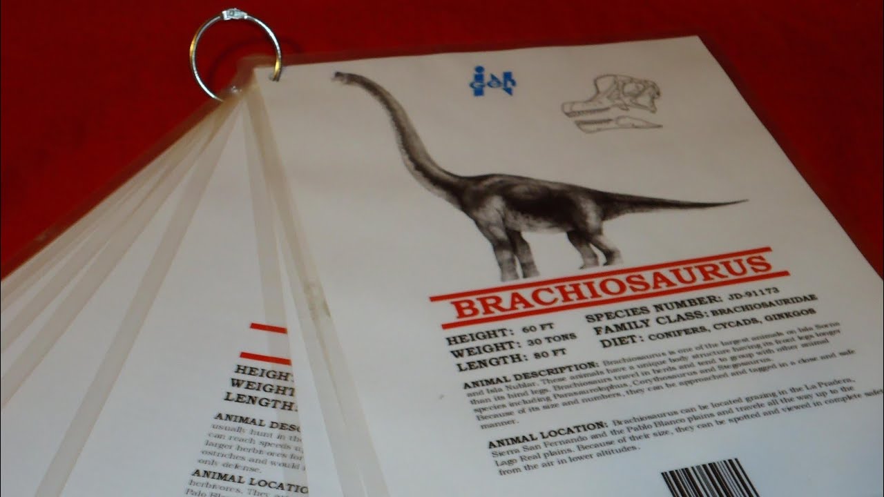 ingen dinosaur info sheets - YouTube