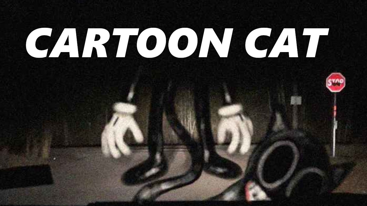 O MISTERIOSO CARTOON CAT História de terror Creepypasta - YouTube