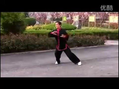 Yang style Tai Chi 85 form - YouTube
