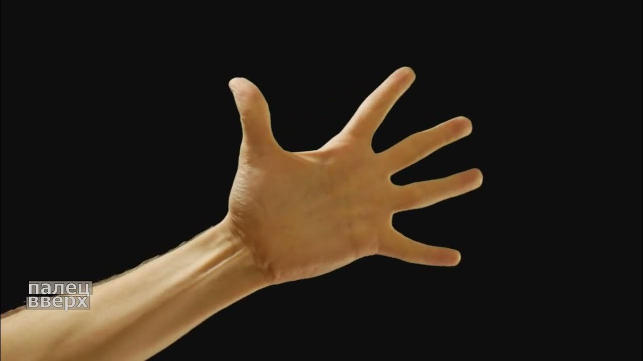 Ритмическое упражнение для развития ловкости рук Пальчиковая гимнастика Сергея Копылова Youtube