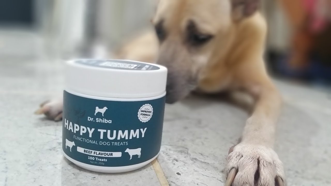Dr. Shiba Happy Tummy Dog Treats, first time ng mga aso ko ito matikman ...