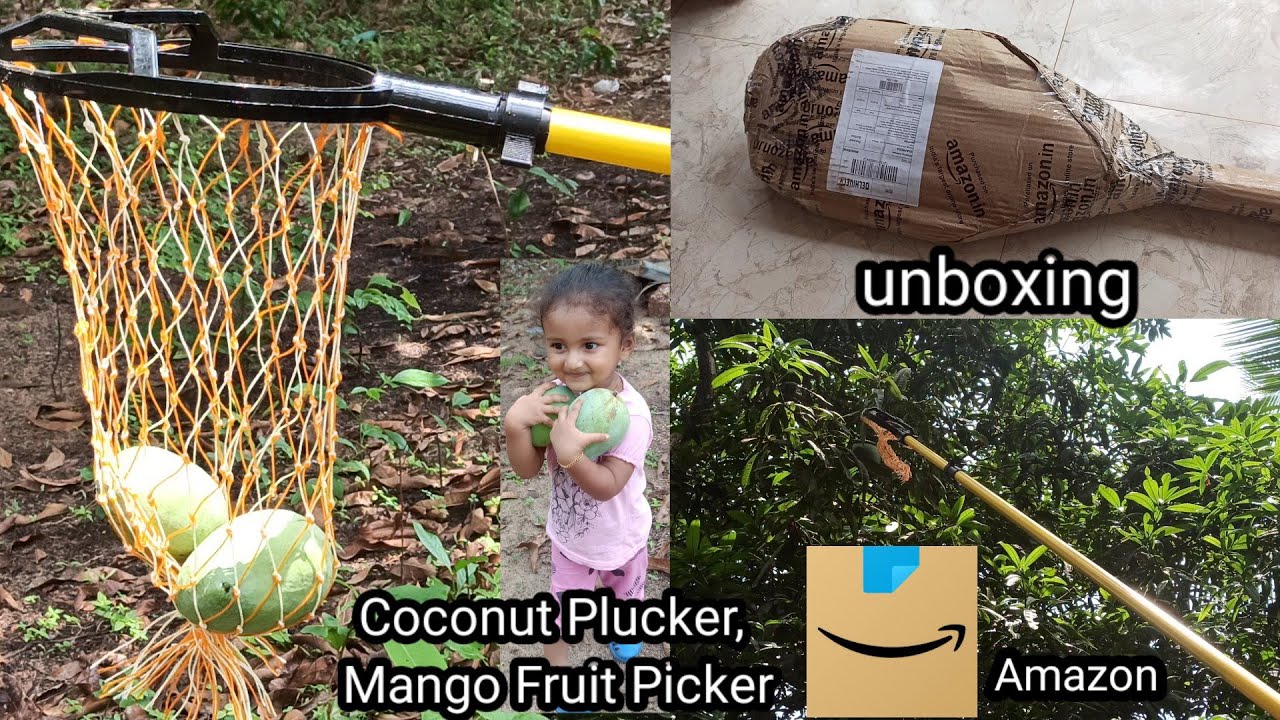 Skytuch, Coconut Plucker, Mango Fruit Picker from Amazon|| Amazon ...
